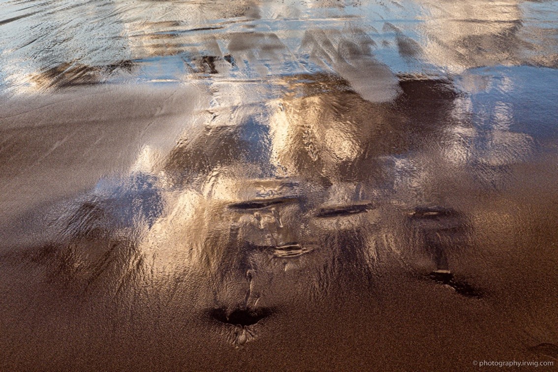 What's On - Bathers Pavilion